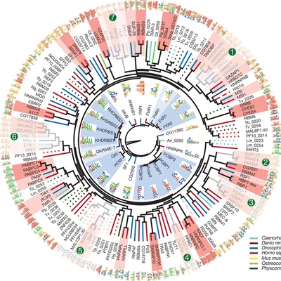 The Quaid Morris Lab | morrislab