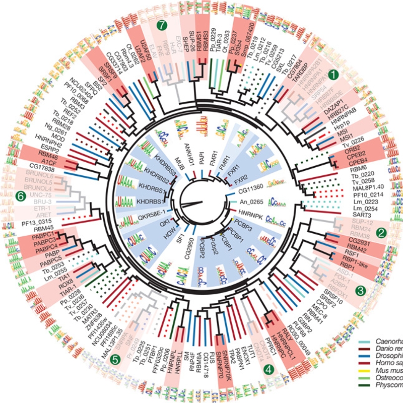 The Quaid Morris Lab | morrislab